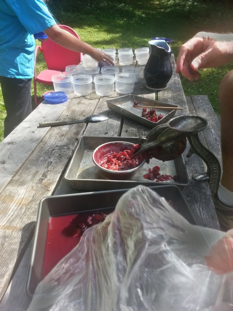 Thirty-Seven Pounds of Cherries | Liz Baessler