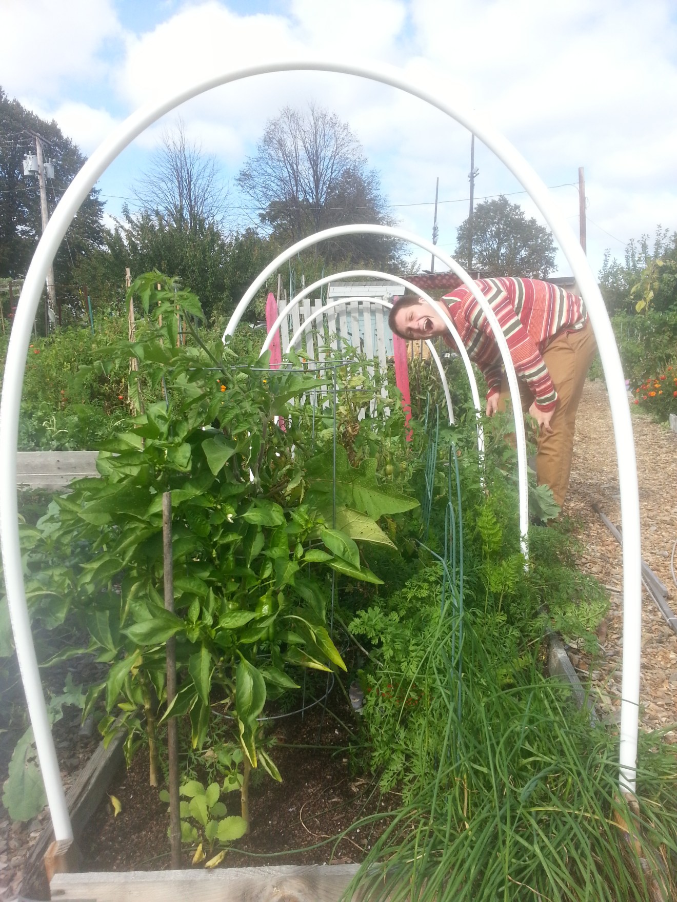 Winter Is Coming | Liz Baessler