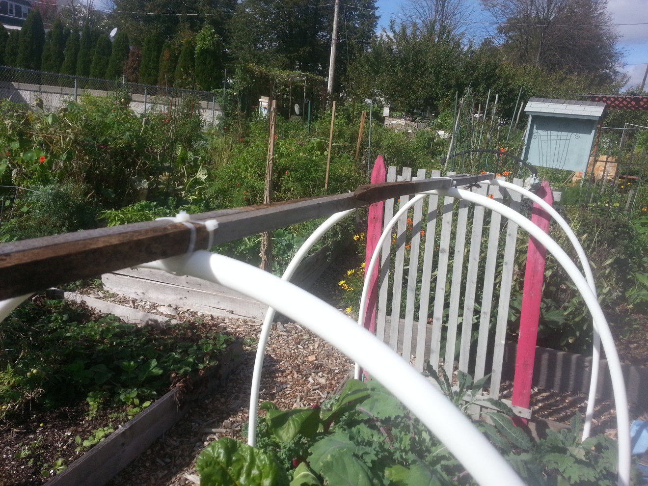 Winter Is Coming | Liz Baessler