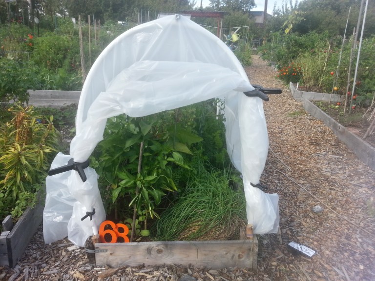 Winter Is Coming | Liz Baessler