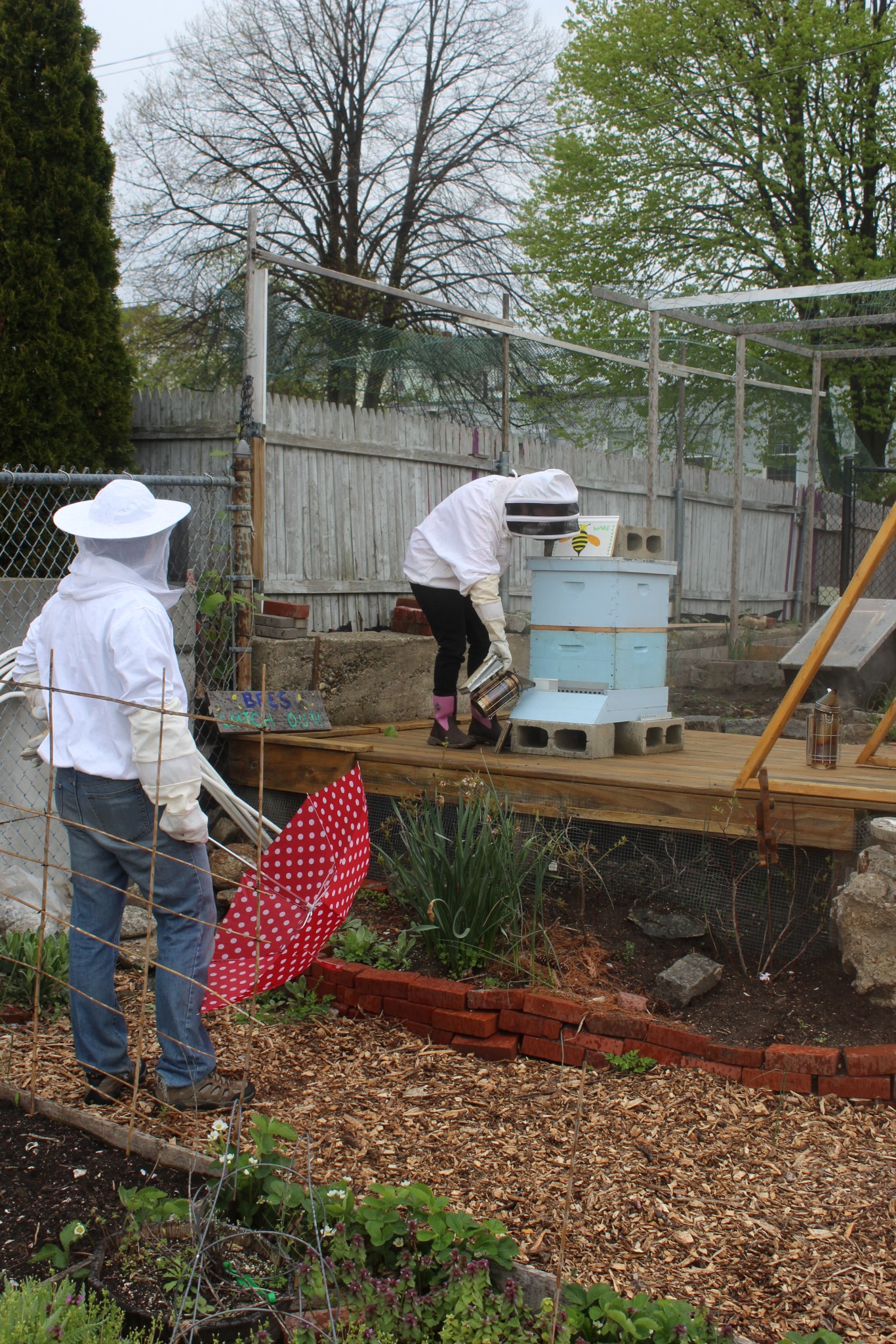 Happy as a Bee | Liz Baessler