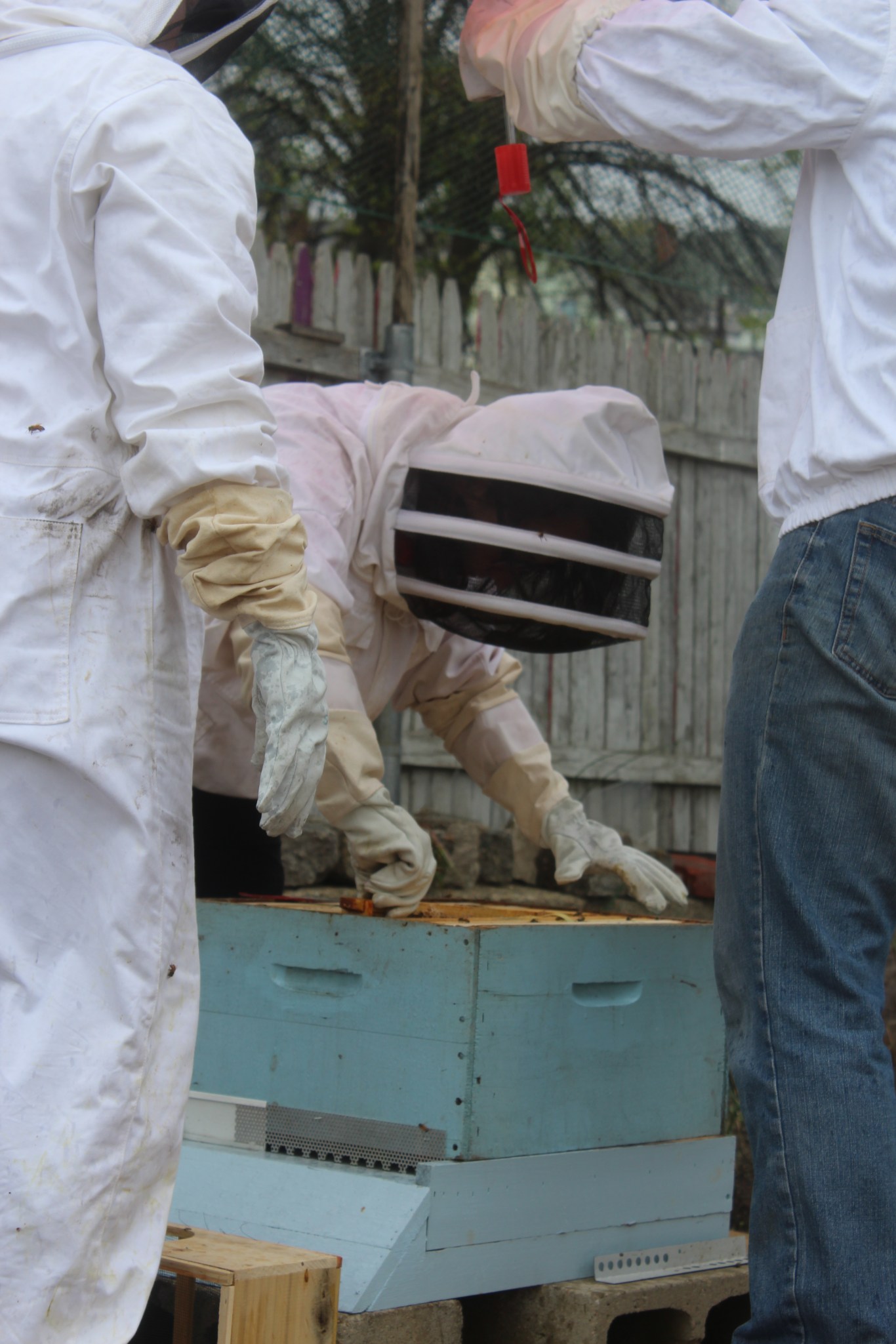 Happy as a Bee | Liz Baessler