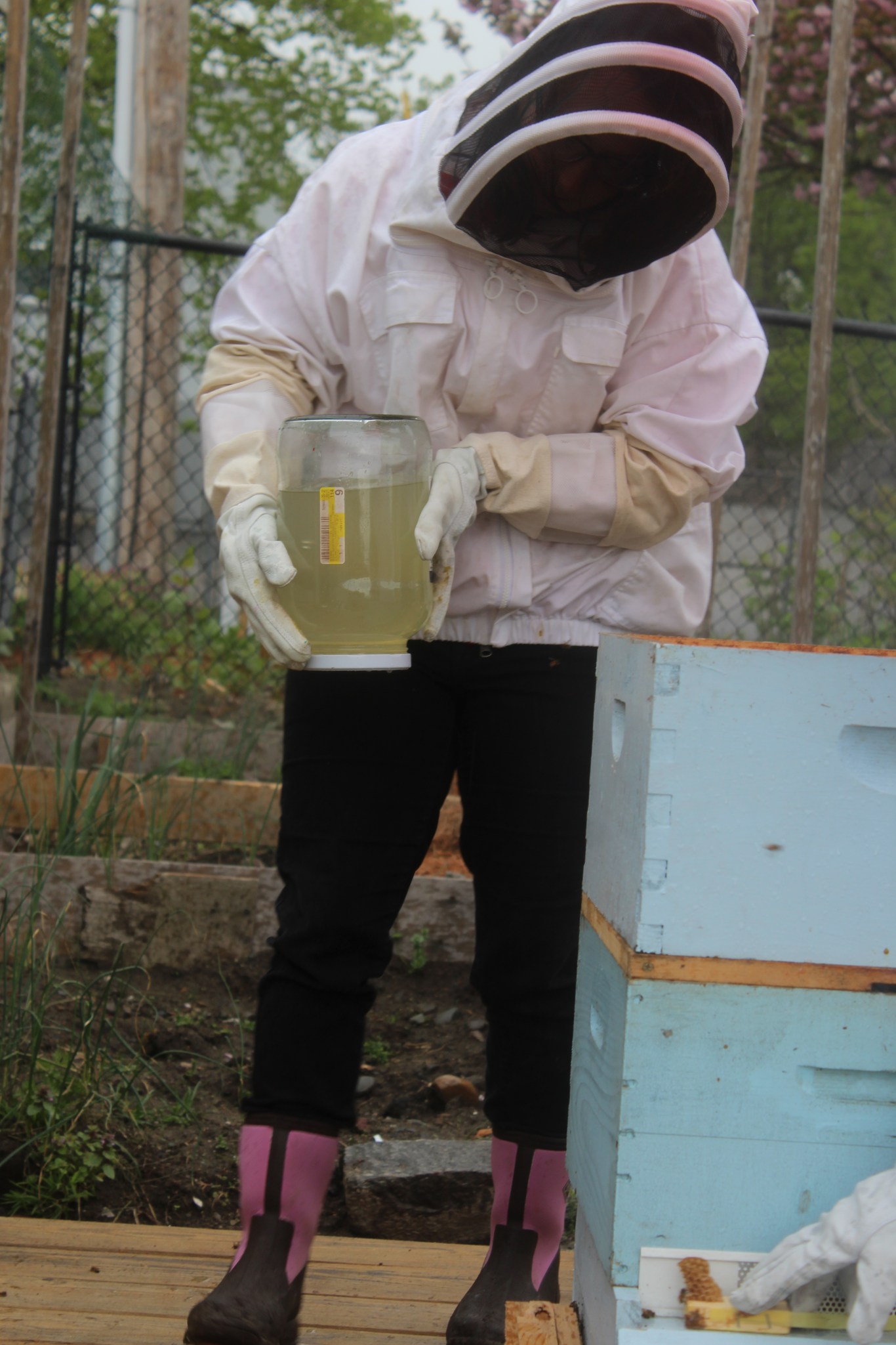 Happy as a Bee | Liz Baessler